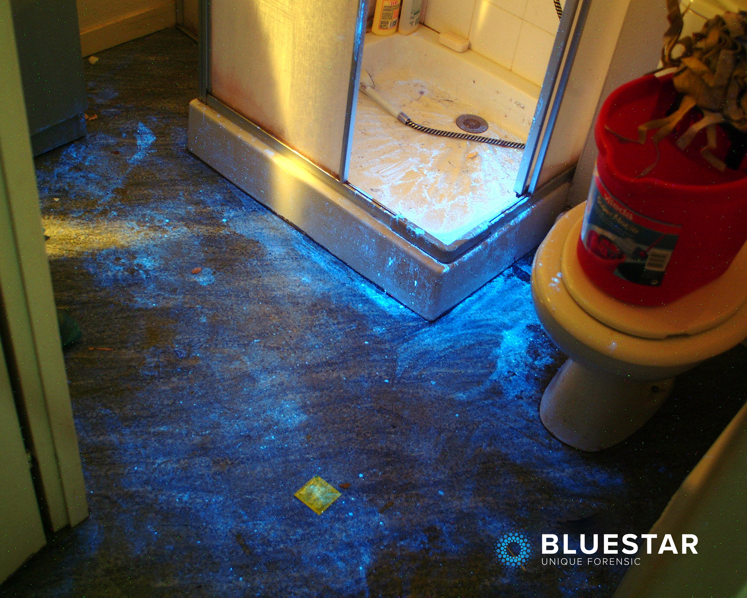 Qué es Bluestar - Bluestar Forensic